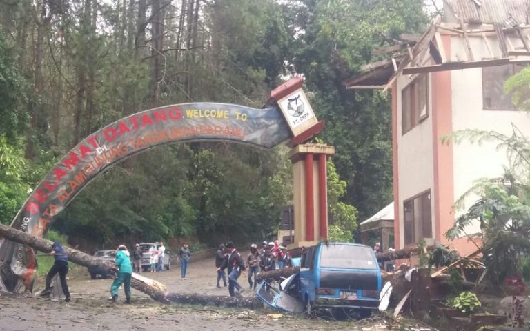 Satu Mobil Ringsek Tertimpa Pohon Tumbang Usai Angin Kencang Di Lembang - Islampos