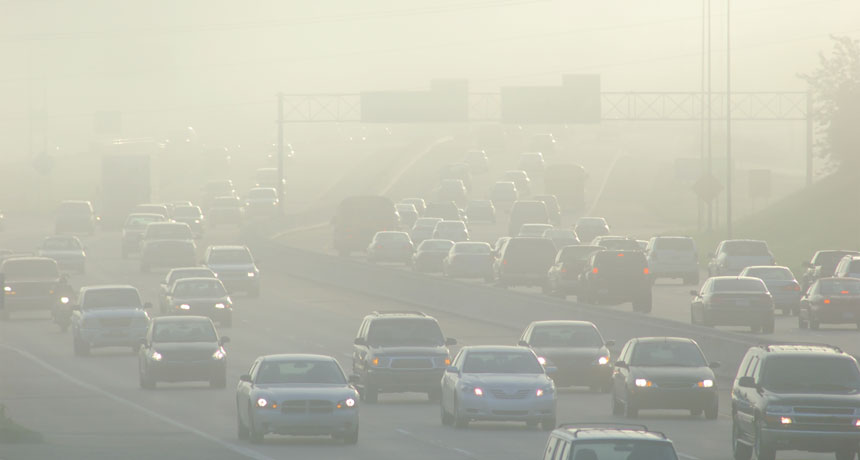 WHO: 95 Persen Populasi Dunia Menghirup Polusi - Islampos