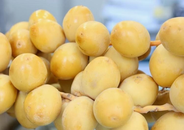 Siapa Saja Pemuda Beriman Dalam Kisah Ashabul Kahfi? - Islampos Siapa Saja Pemuda Beriman Dalam Kisah Ashabul Kahfi? - Islampos