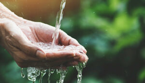 Najis, Contoh Najis Dan Jenis-jenis Najis - Islampos