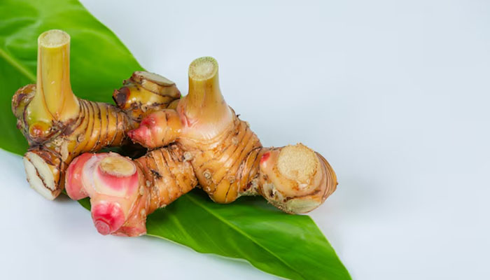 Kurang Disukai Anak Muda, Ini 8 Manfaat Rimpang Untuk Kesehatan - Islampos